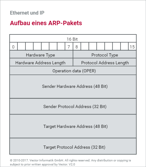 Ethernet: ARP, NDP, ICMP, IGMP, DHCP